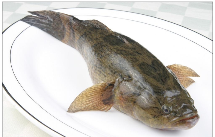 Boon Teck Seafood Comp Pte. Ltd. – BOON TECK SEAFOOD COMP PTE LTD