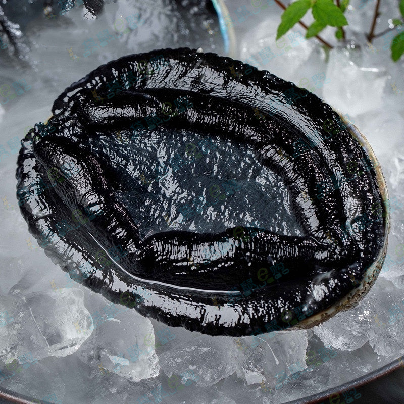 Boon Teck Seafood Comp Pte. Ltd. – BOON TECK SEAFOOD COMP PTE LTD