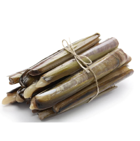 Boon Teck Seafood Comp Pte. Ltd. – BOON TECK SEAFOOD COMP PTE LTD