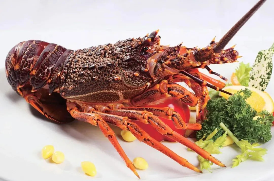 Collections – BOON TECK SEAFOOD COMP PTE LTD
